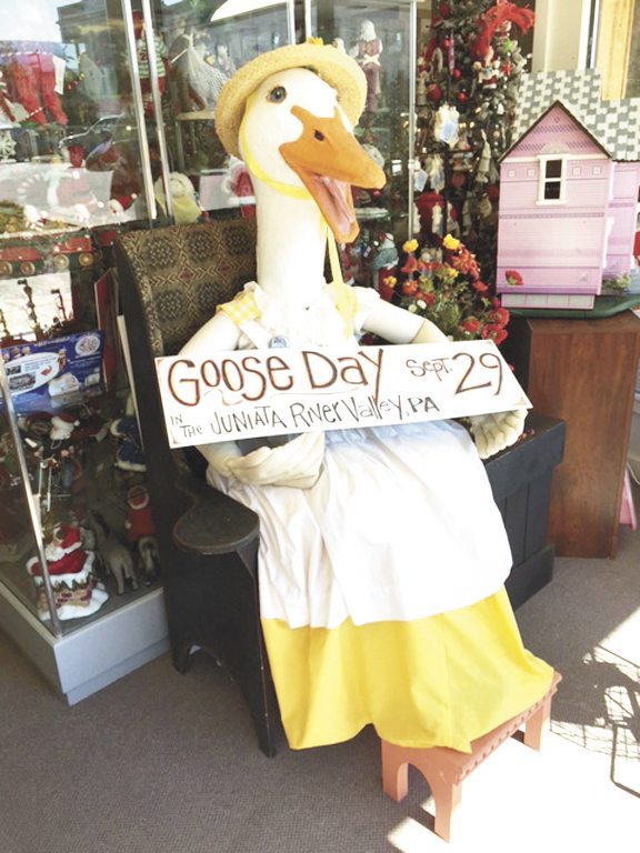 Goose Day | News, Sports, Jobs - The Sentinel